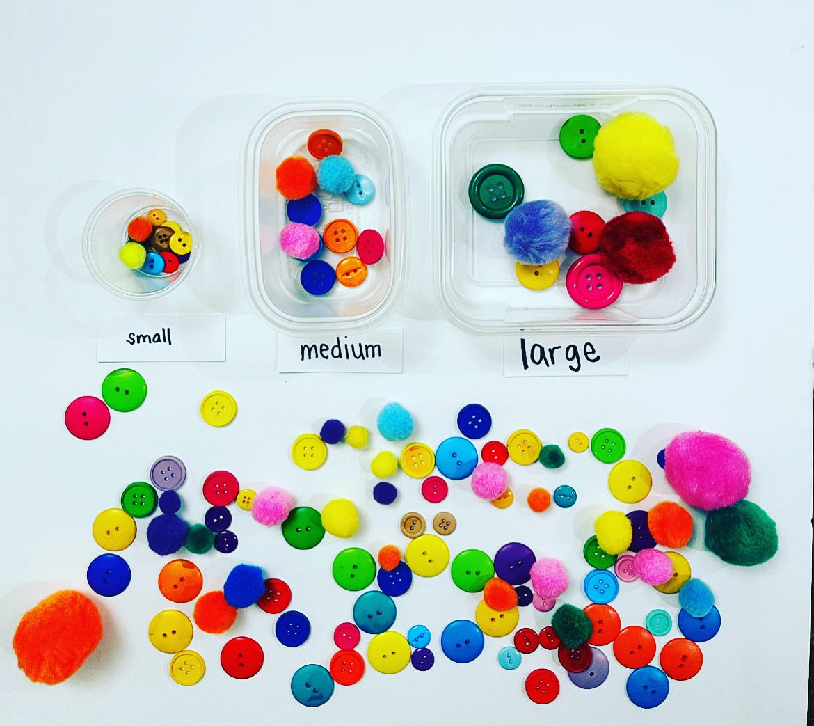 Sorting Buttons and Pom Poms - Annie's Classroom